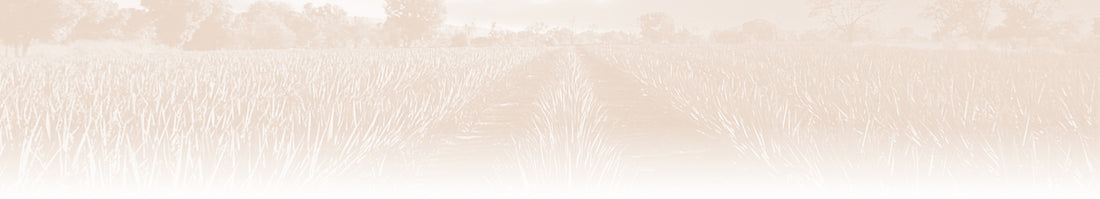 Shop » Los Linderos » Premium Tequila Handcrafted in Jalisco, Mexico ...